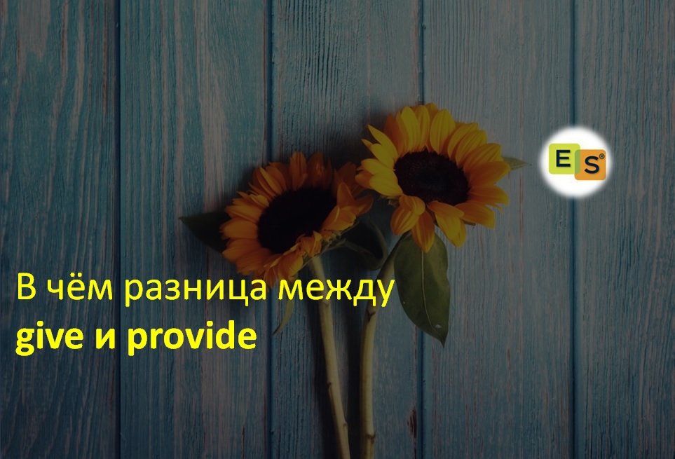 В чём разница между give и provide | Блог об английском языке от EasySpeak